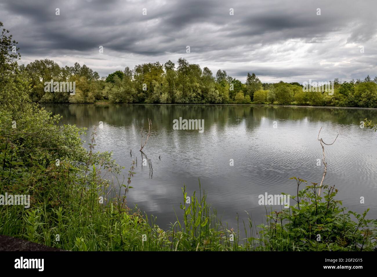 Wiltshire wildlife trust reserve hi-res stock photography and images ...