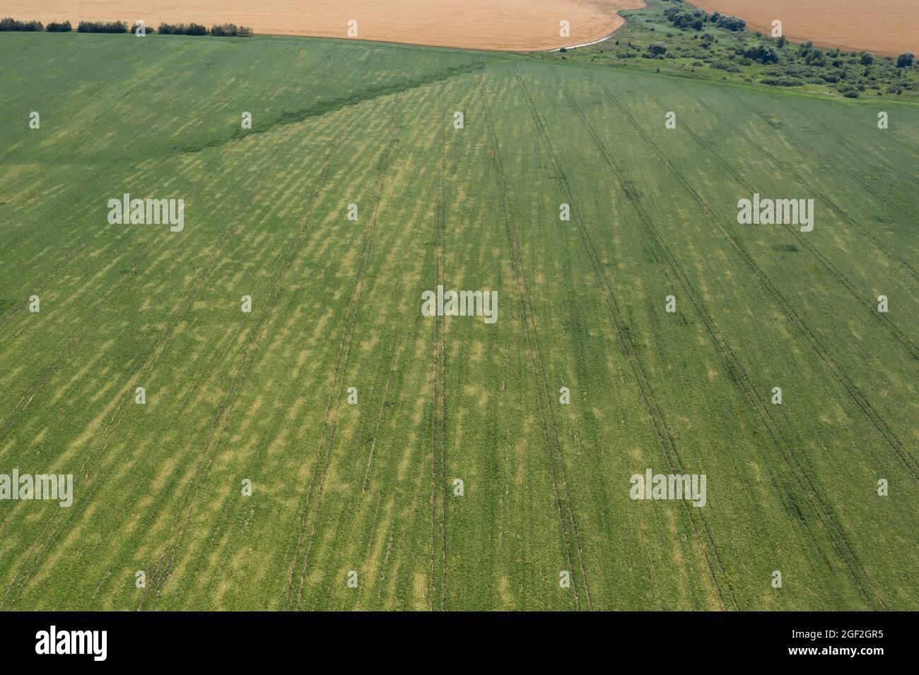 Drone flies over field green hi-res stock photography and images - Alamy
