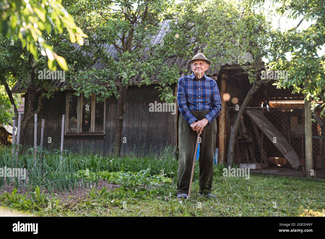 Sad garden hi-res stock photography and images - Alamy