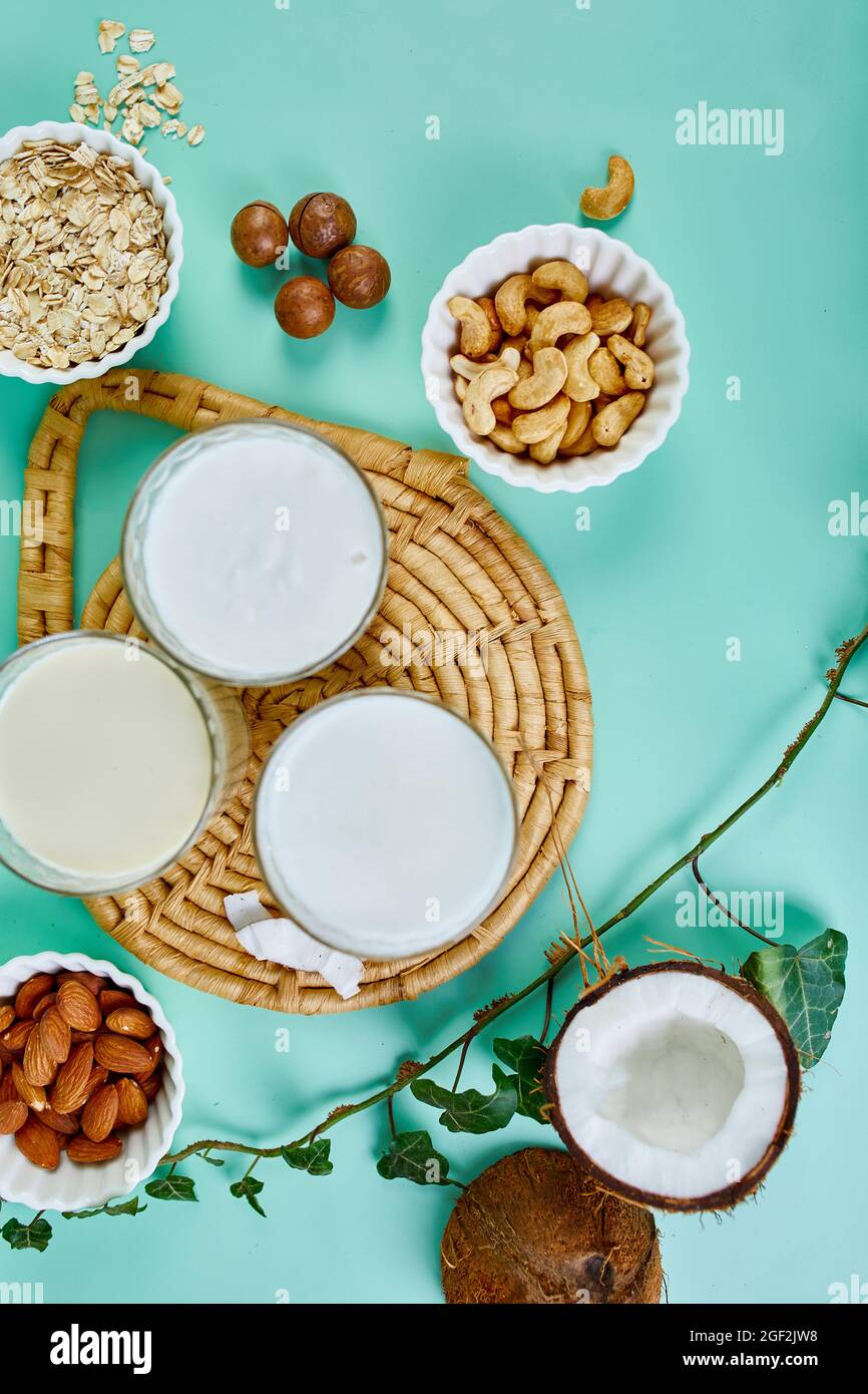 Various vegan plant based milk and ingredients, non-dairy milk ...