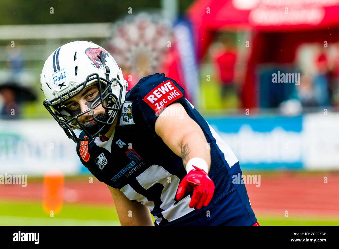 Razorbacks hi-res stock photography and images - Alamy