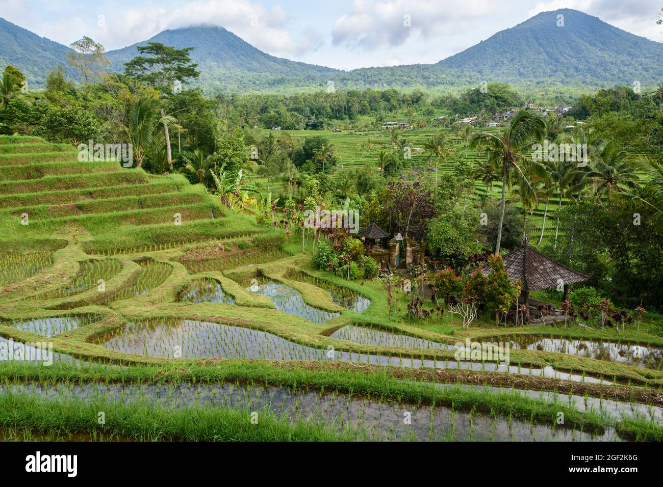 Jatiluwih rice fields in central Bali, Indonesia Stock Photo - Alamy