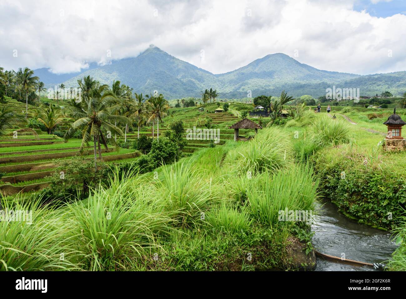 Jatiluwih rice fields in central Bali, Indonesia Stock Photo - Alamy