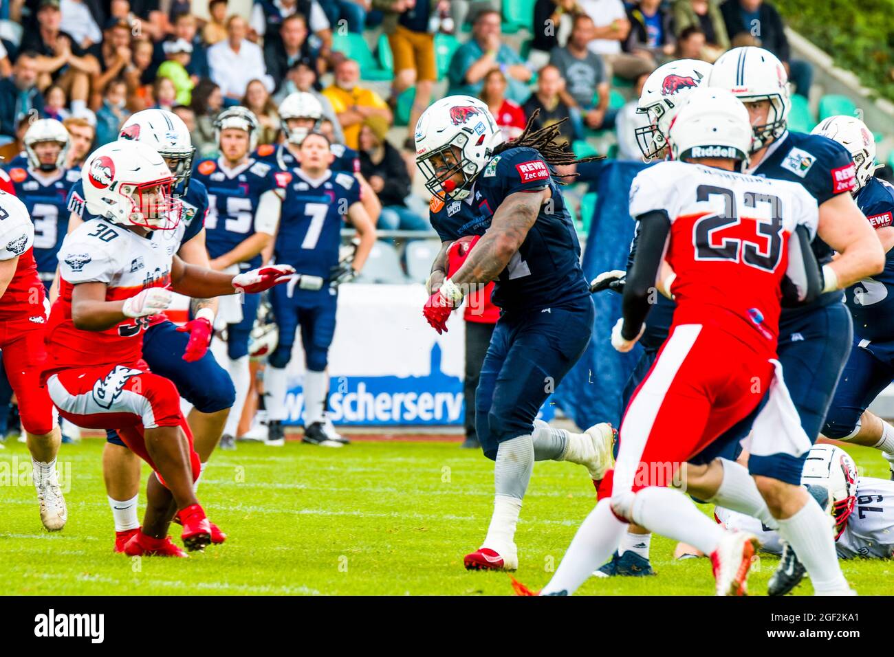 Razorbacks hi-res stock photography and images - Alamy