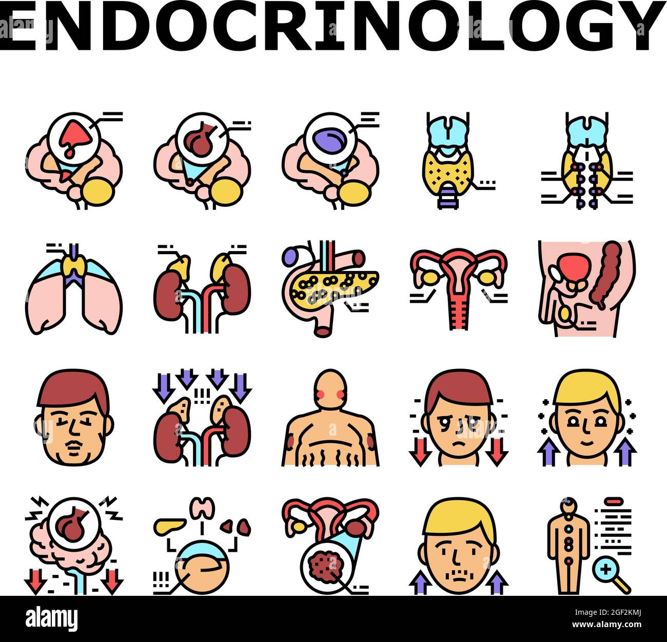 Endocrinology Medical Disease Icons Set Vector Stock Vector Image & Art ...