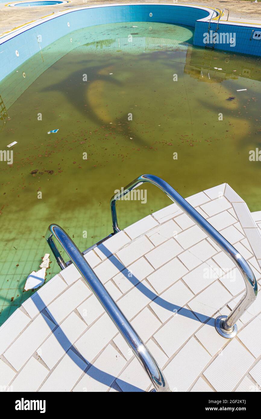 Close up of a tiled floor of an abandoned swimming pool with mossy ...