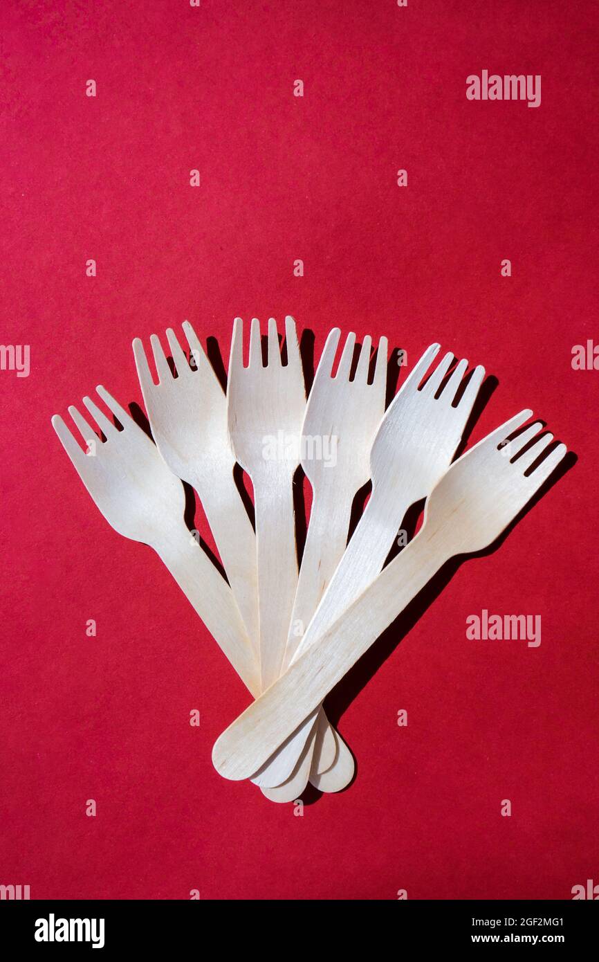 Eco friendly fast food containers. Wooden forks. Eco friendly ...