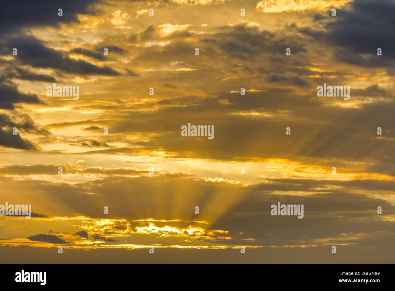 Golden sunbeam hi-res stock photography and images - Alamy