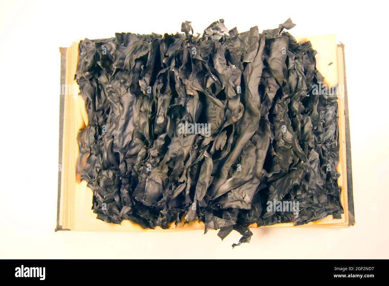 Burned book pages hi-res stock photography and images - Alamy