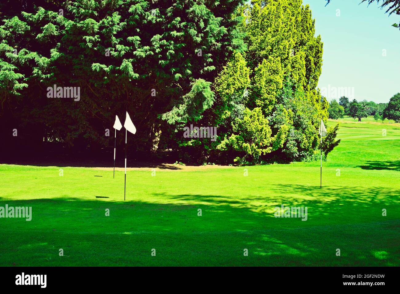 Golf course grass hi-res stock photography and images - Alamy
