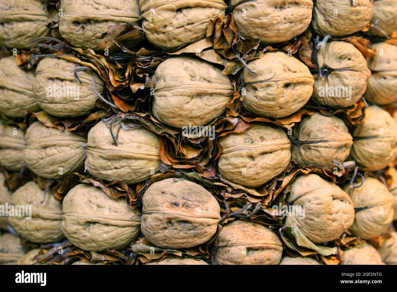 walnut (Juglans regia), many layered walnuts Stock Photo - Alamy