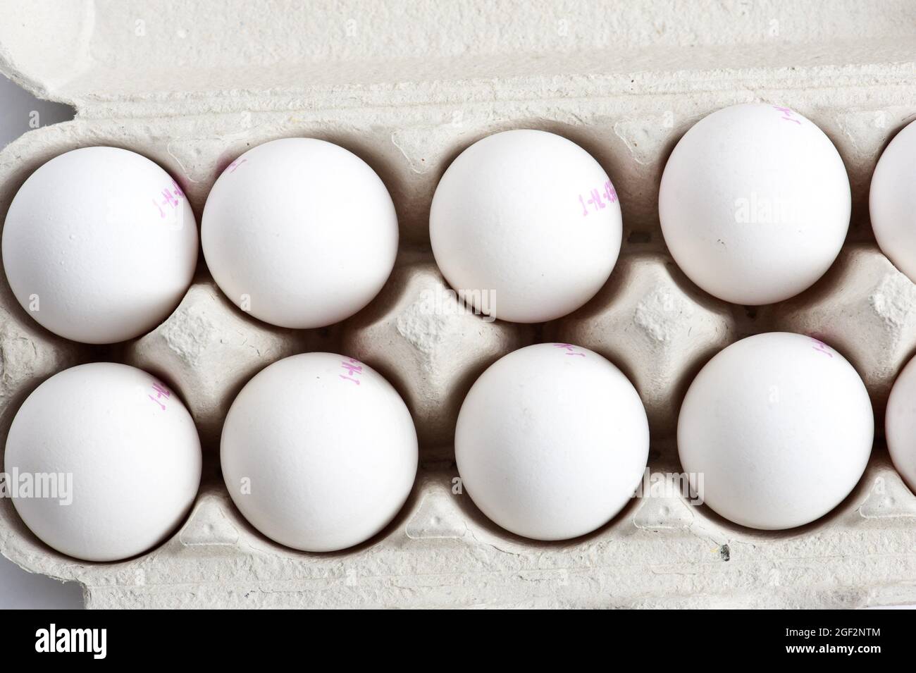 White eggs in an egg box Stock Photo - Alamy