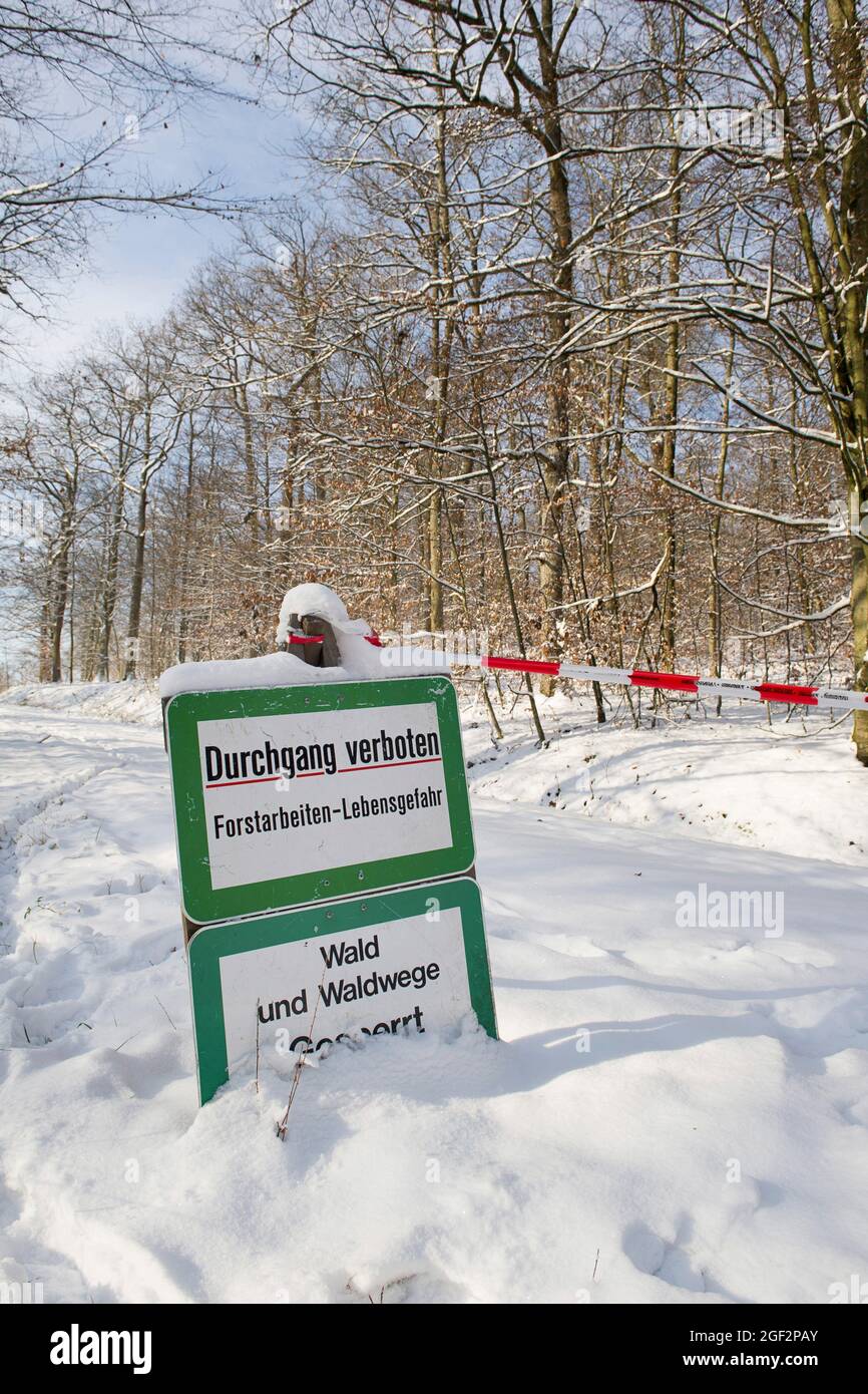 blocked way because of woodwork Stock Photo - Alamy