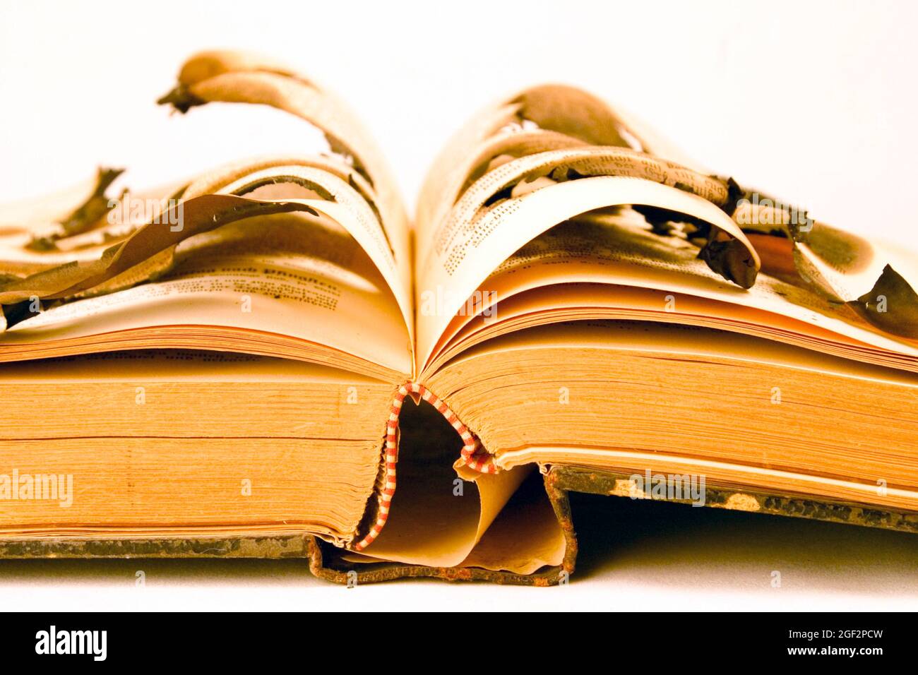 open burned book Stock Photo - Alamy