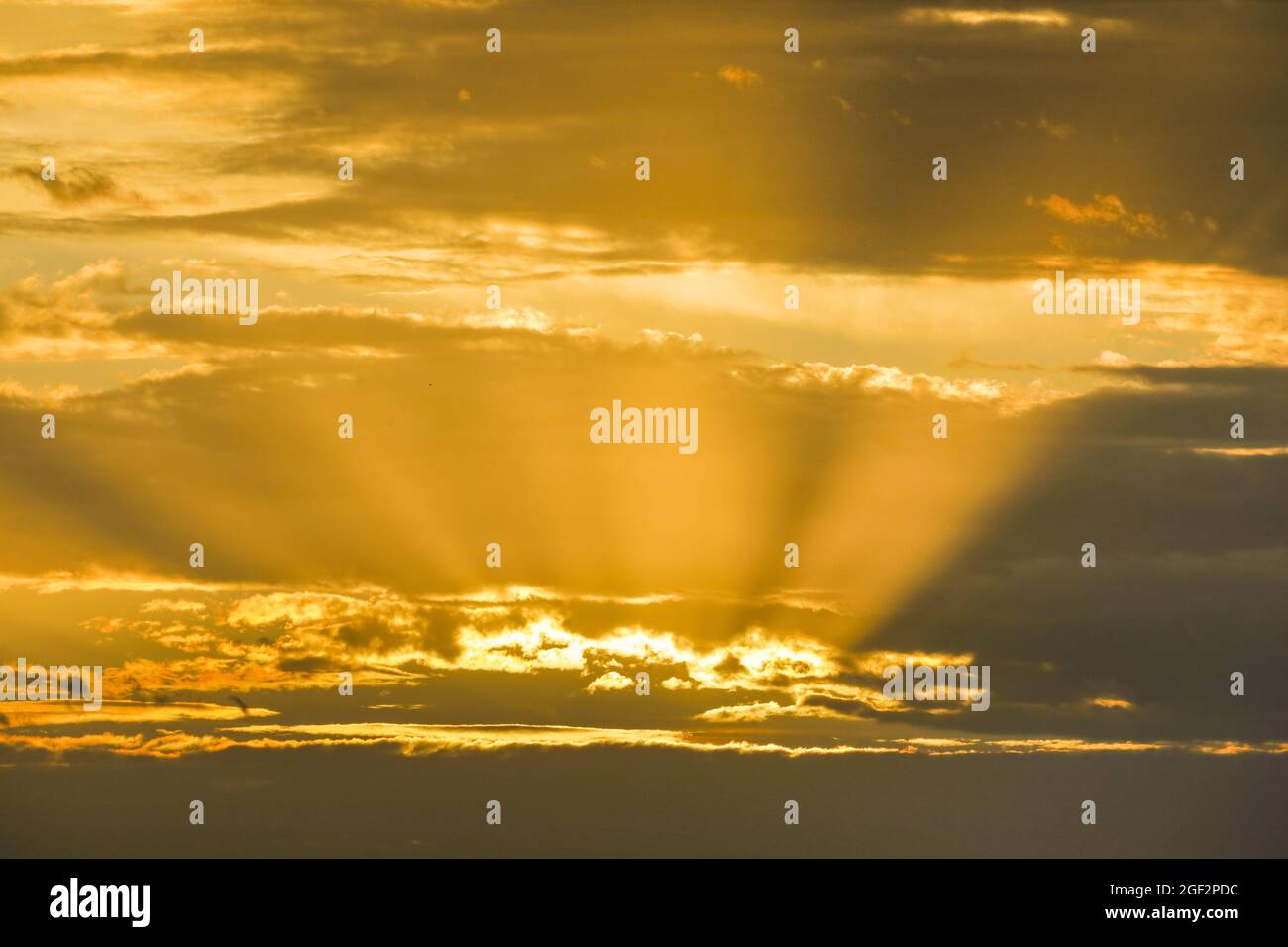 golden sunbeams shining through the clouds at sunrise, Tyndall effect ...