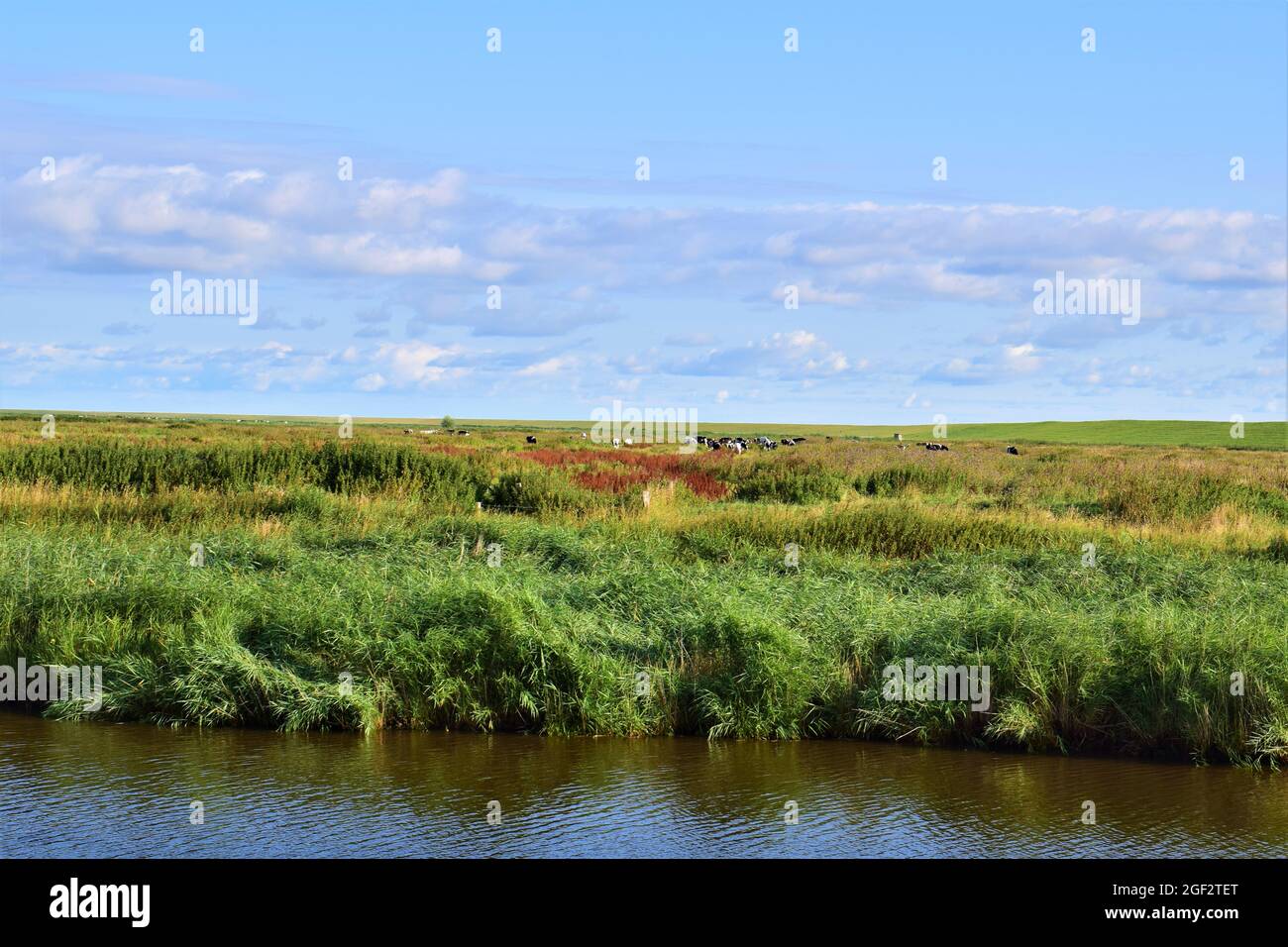 landscape at the coast of the north sea Stock Photo - Alamy