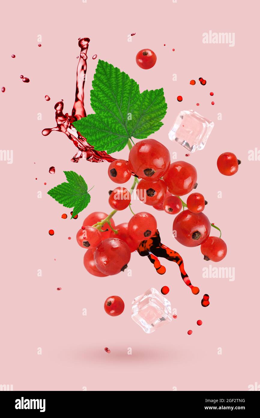 Red currant clipart hi-res stock photography and images - Alamy