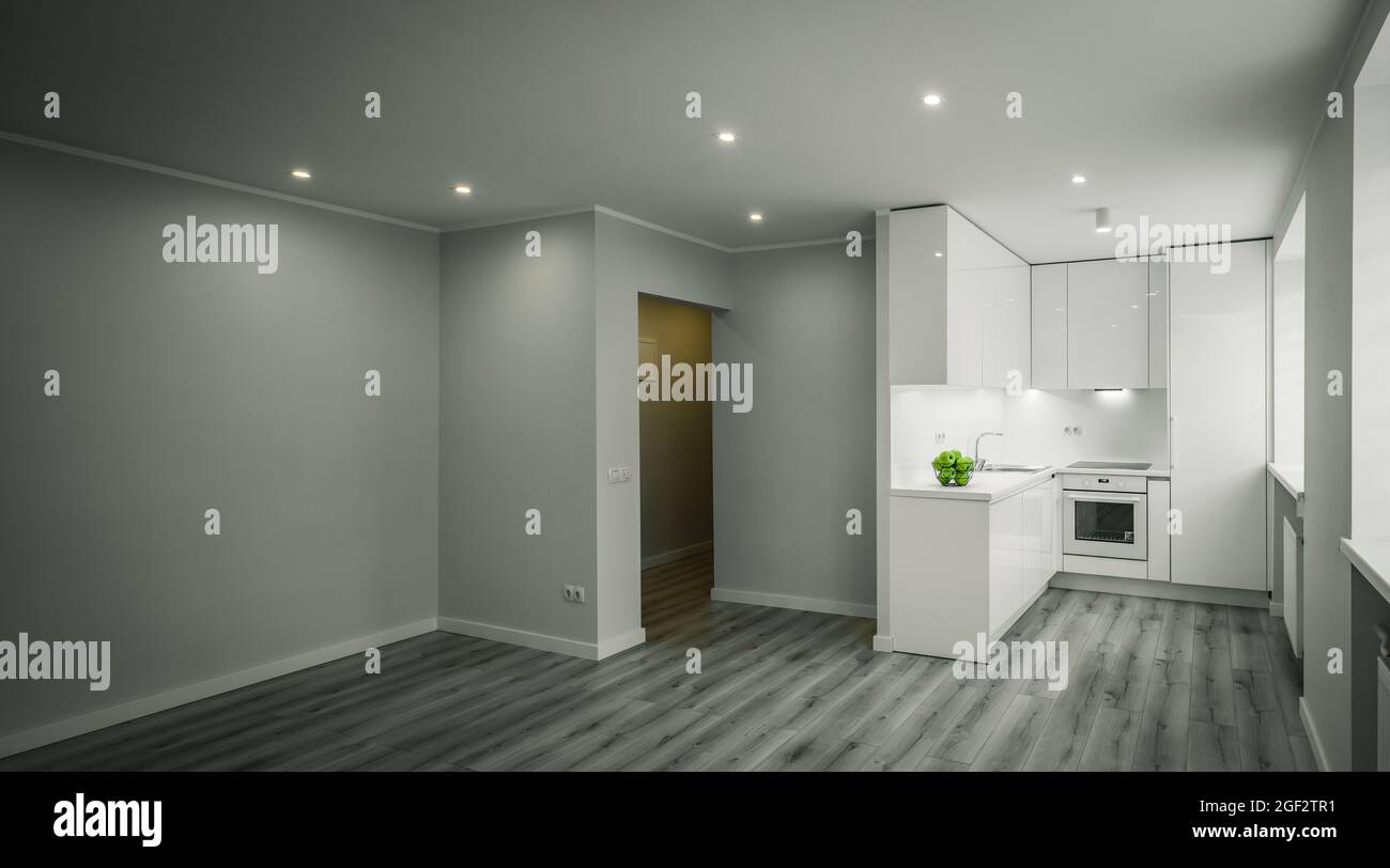 Bright interior of contemporary renovated apartment. White kitchen with ...