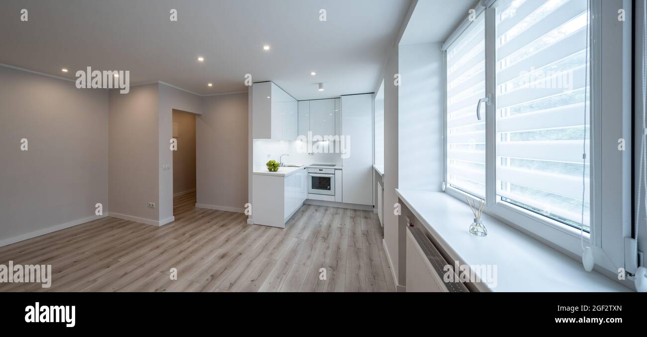 Modern interior of luxury studio apartment after renovation. White ...