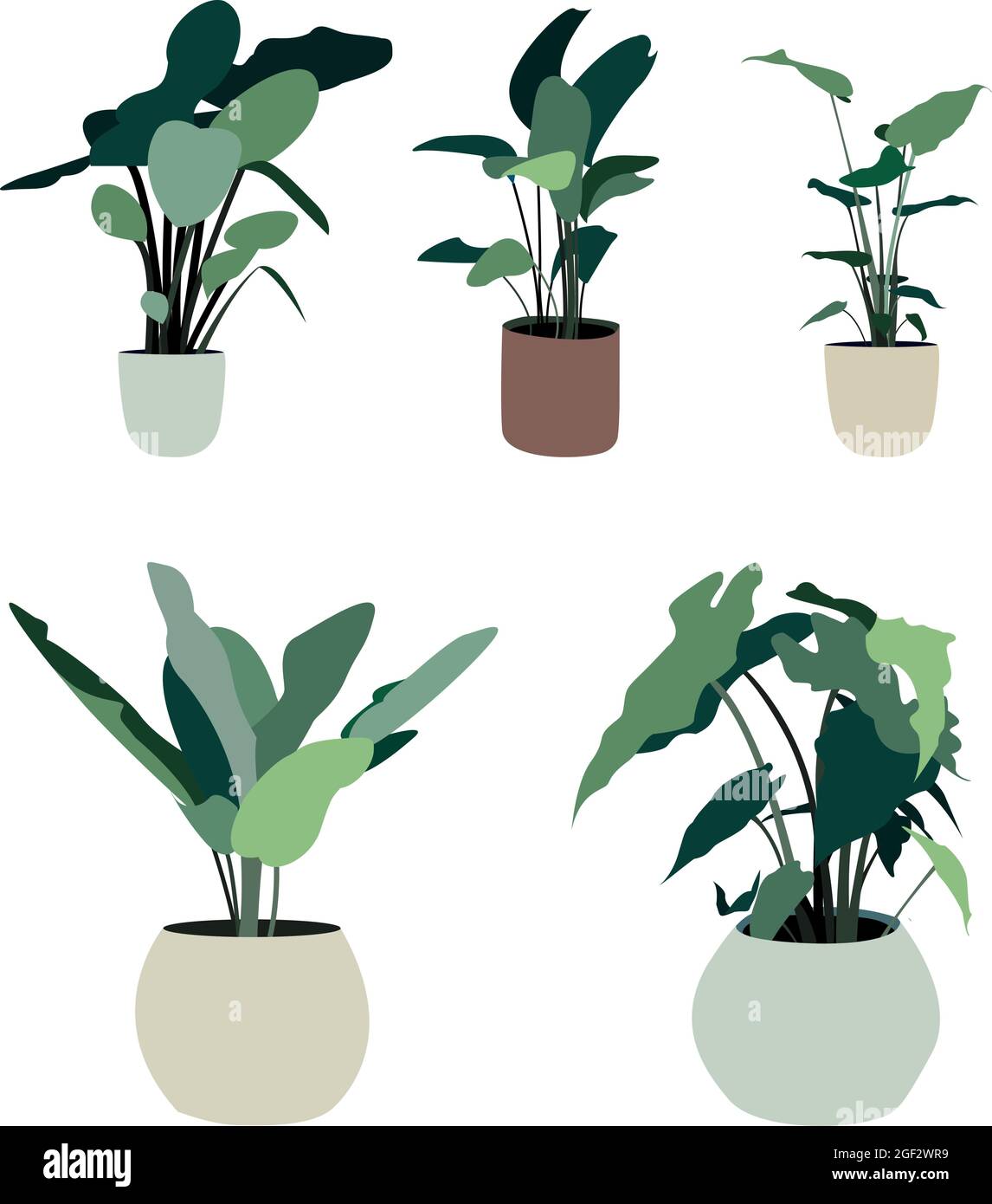 Indoor and outdoor landscape garden potted plants vector image. Flat ...