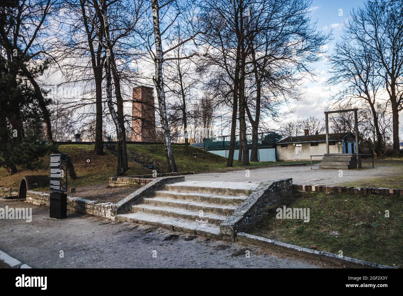 Park with stairs and bold trees in Osviecim Stock Photo - Alamy