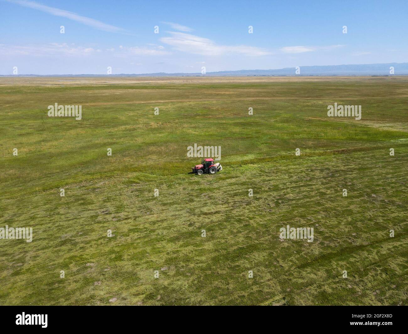 Barkol grassland hi-res stock photography and images - Alamy