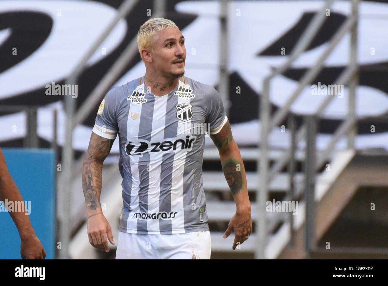 Vina after scoring a goal during the Campeonato Brasileiro football ...