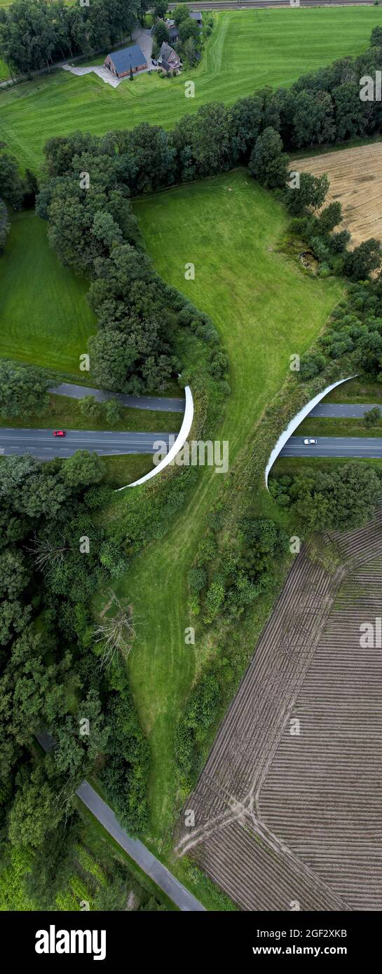 Dutch environment nature reserve infrastructure ecopassage Stock Photo ...