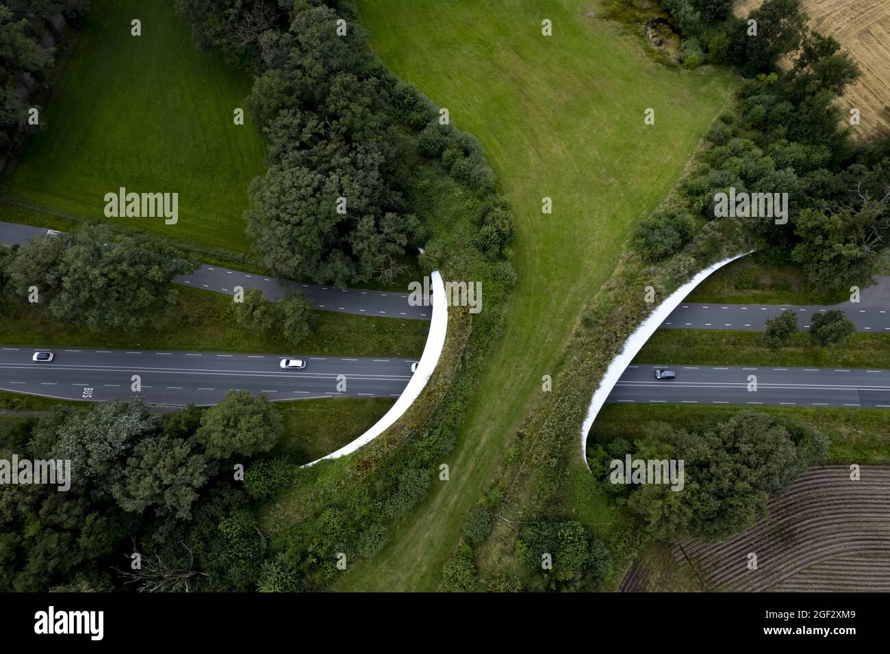 Dutch environment nature reserve infrastructure ecopassage Stock Photo ...