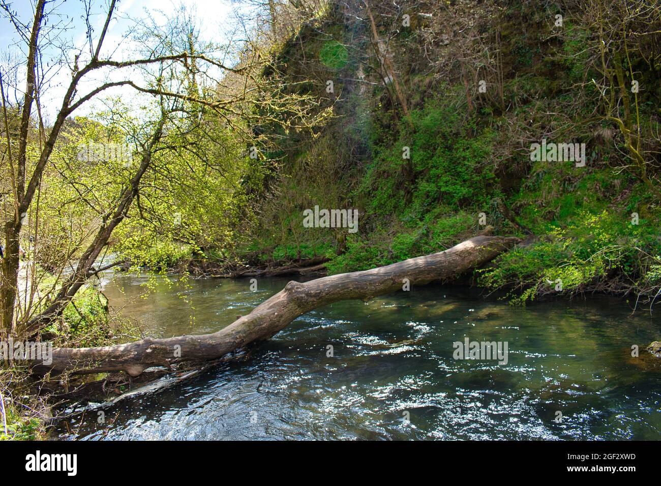 Peak District Dovedale Walk Stock Photo - Alamy