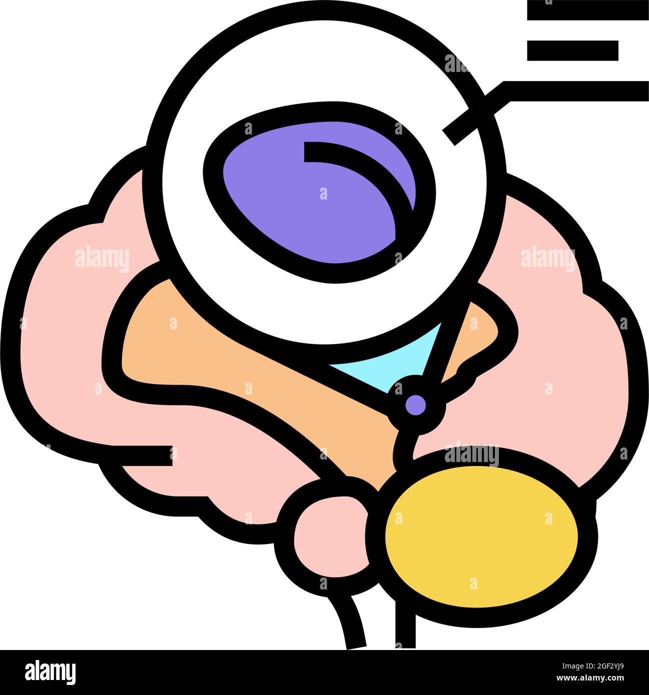 pineal gland endocrinology color icon vector illustration Stock Vector ...