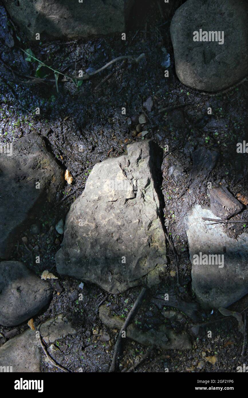 Rocks and stones laying in the mud on a bright sunny summer day Stock ...