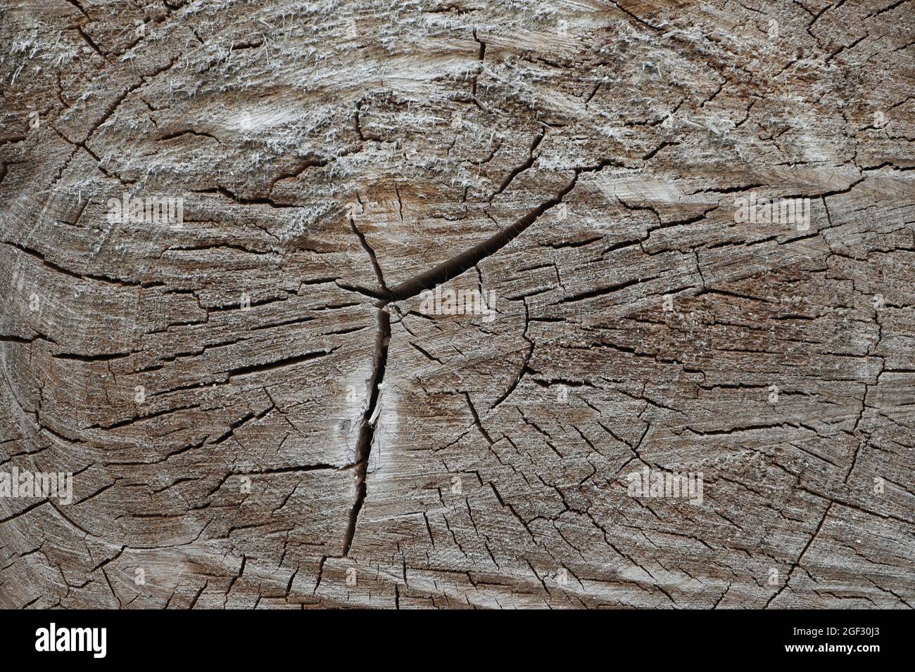 Rough texture cracks hi-res stock photography and images - Alamy
