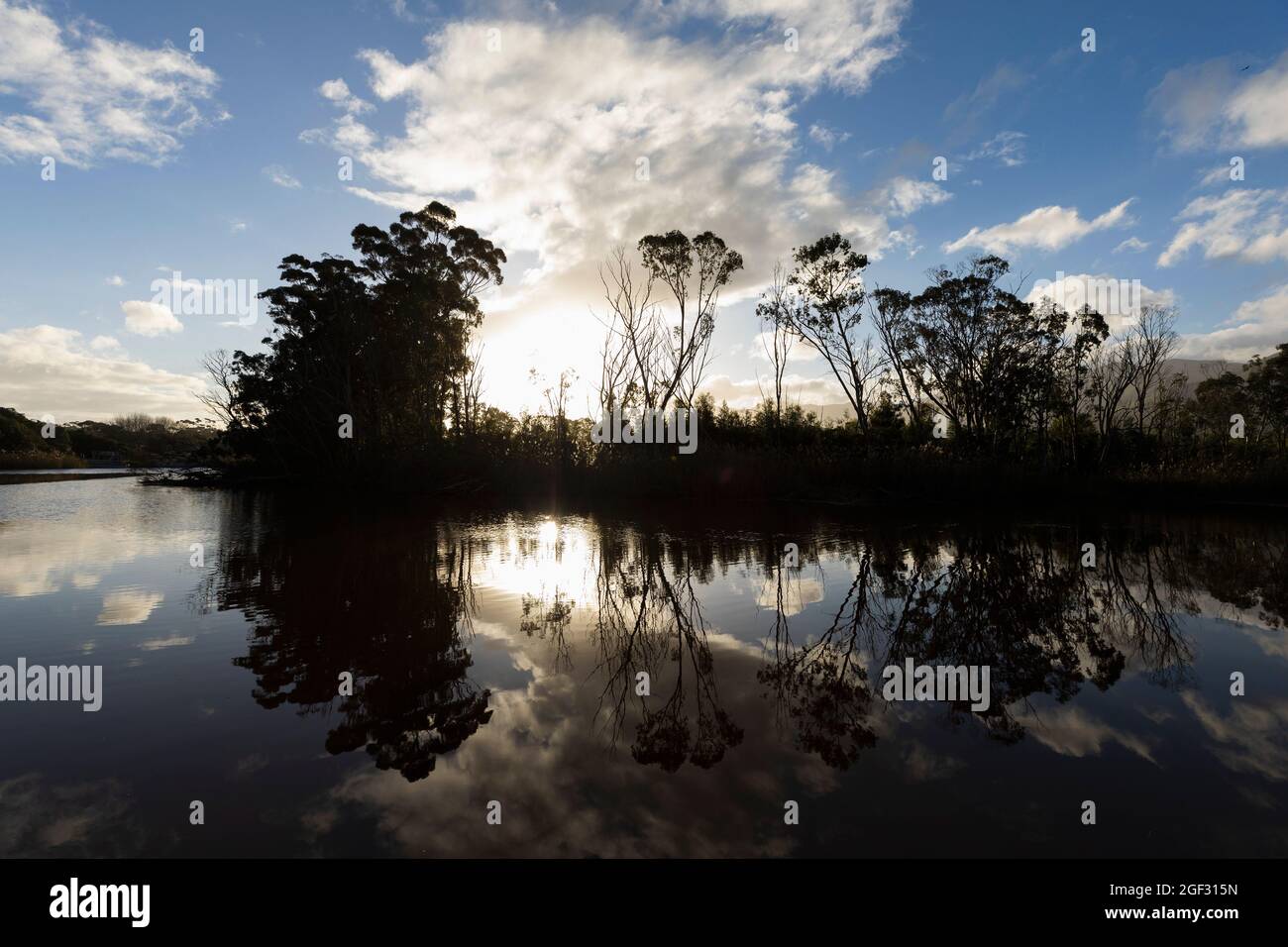 Wide expanse of calm water, and silhouette of trees against the sun ...