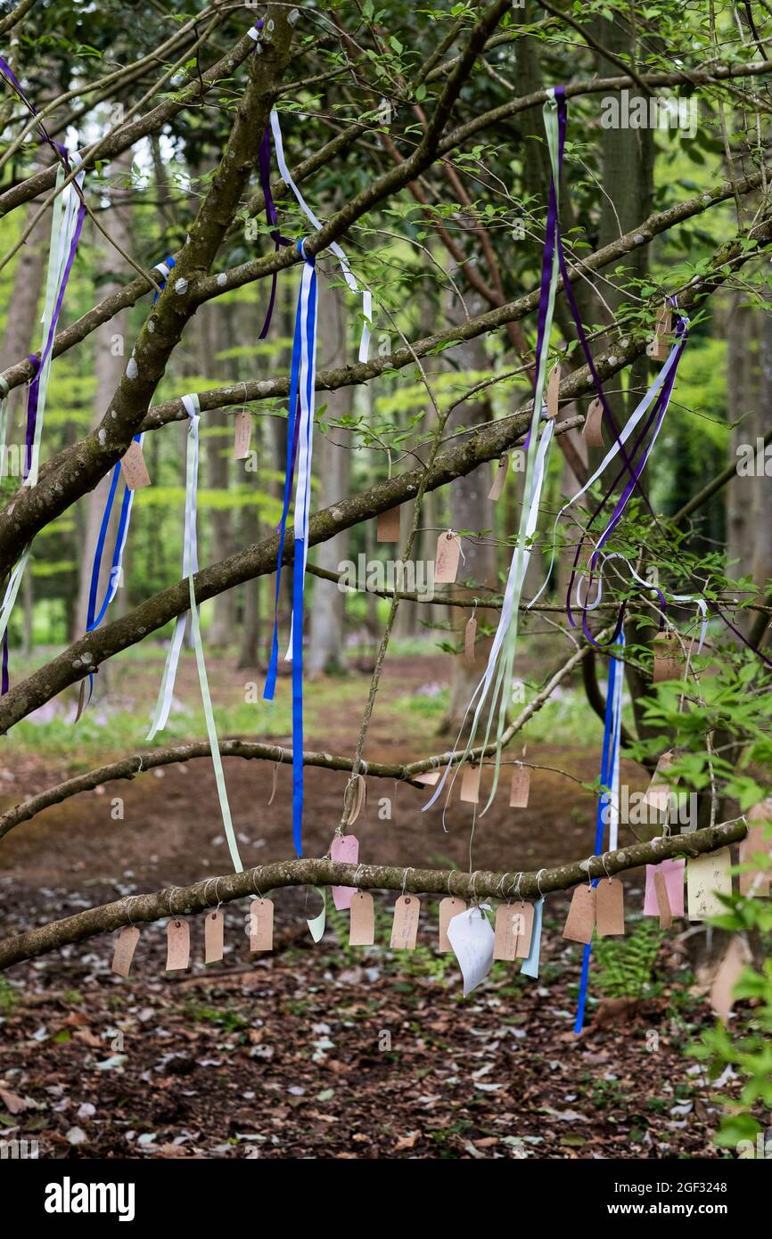 Tree naming hi-res stock photography and images - Alamy