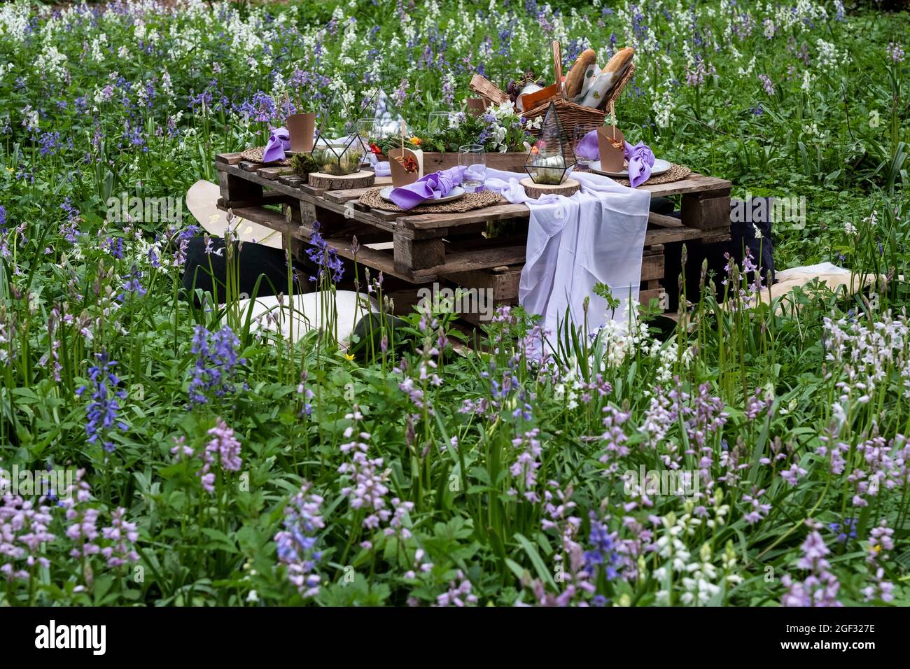 Rustic picnic table with food in a spring meadow for a woodland naming ...