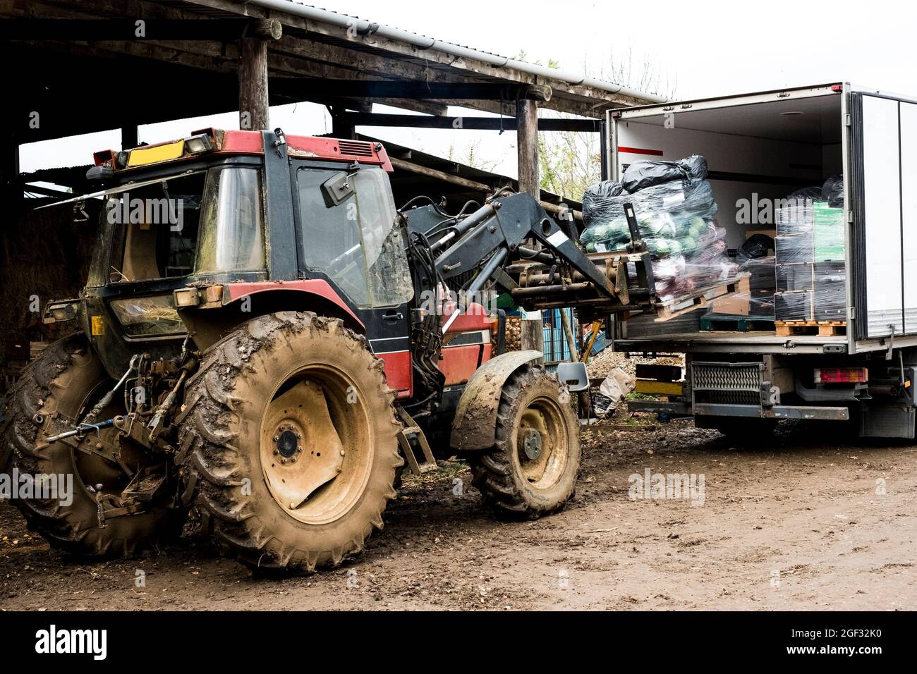 Tractor loading pallet with freshly picked vegetables into a lorry ...