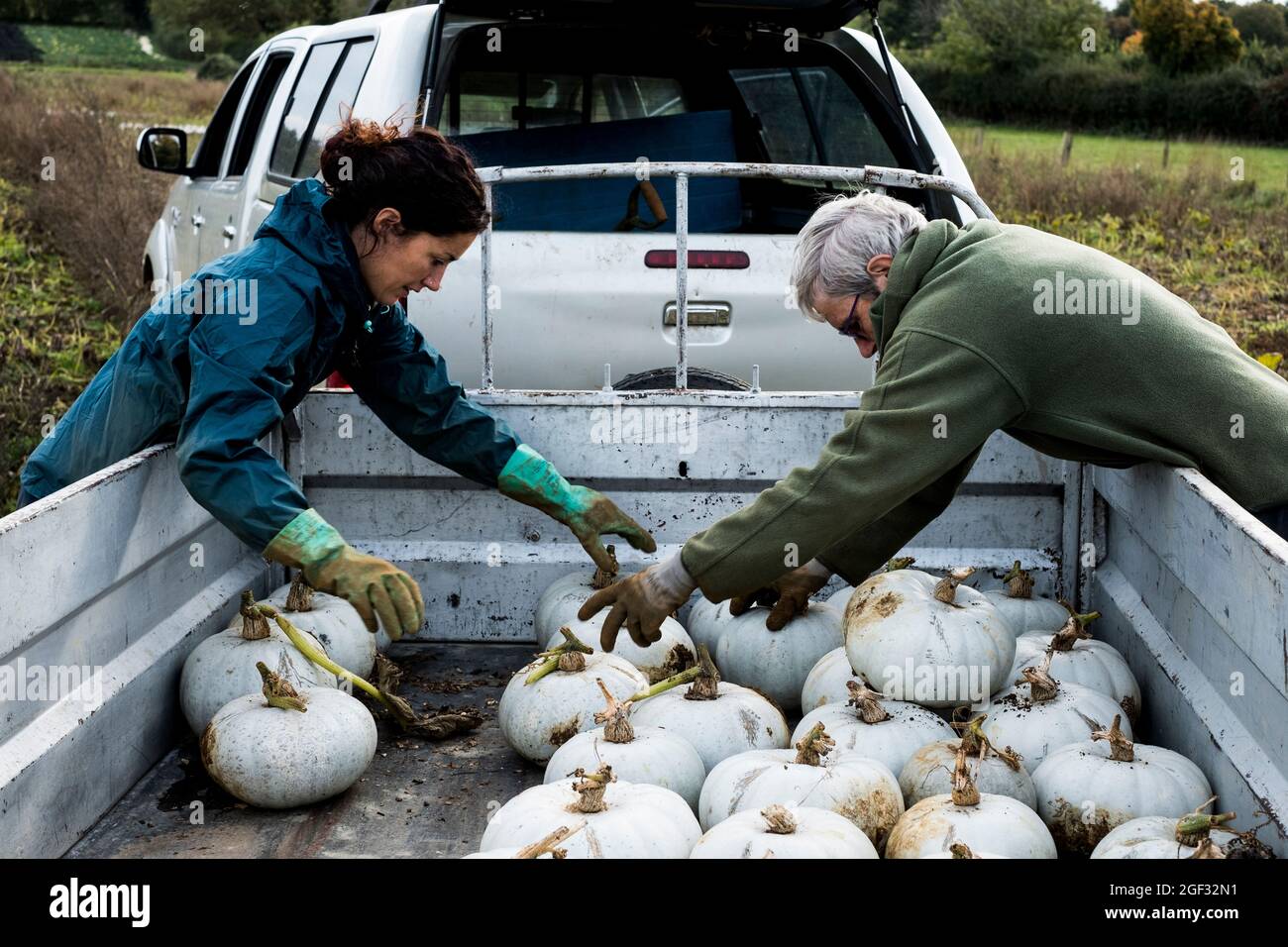 Farmers loading produce into truck hi-res stock photography and images ...