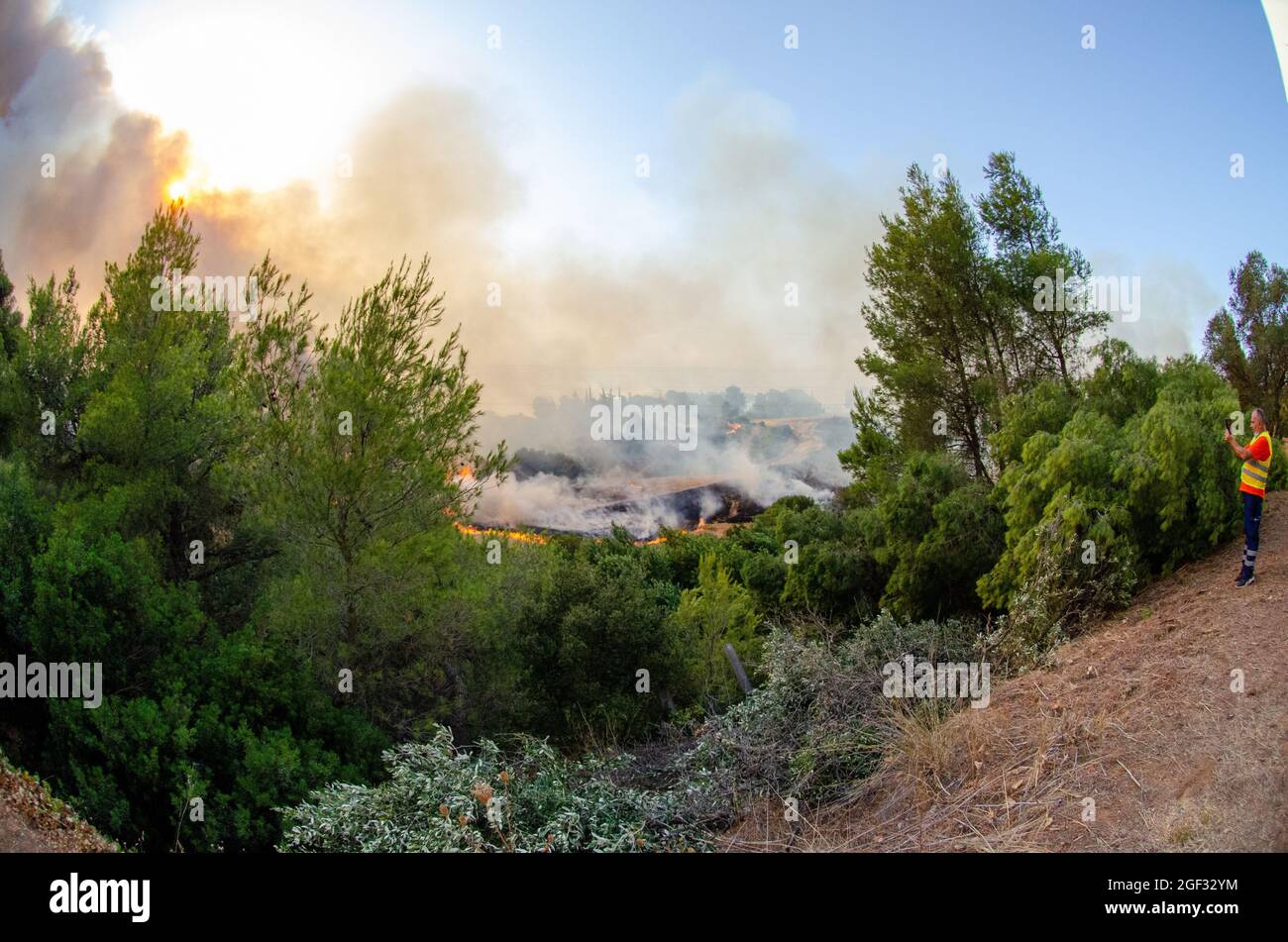 Fisheye view of a lush green forest burning in Athens, Greece with ...