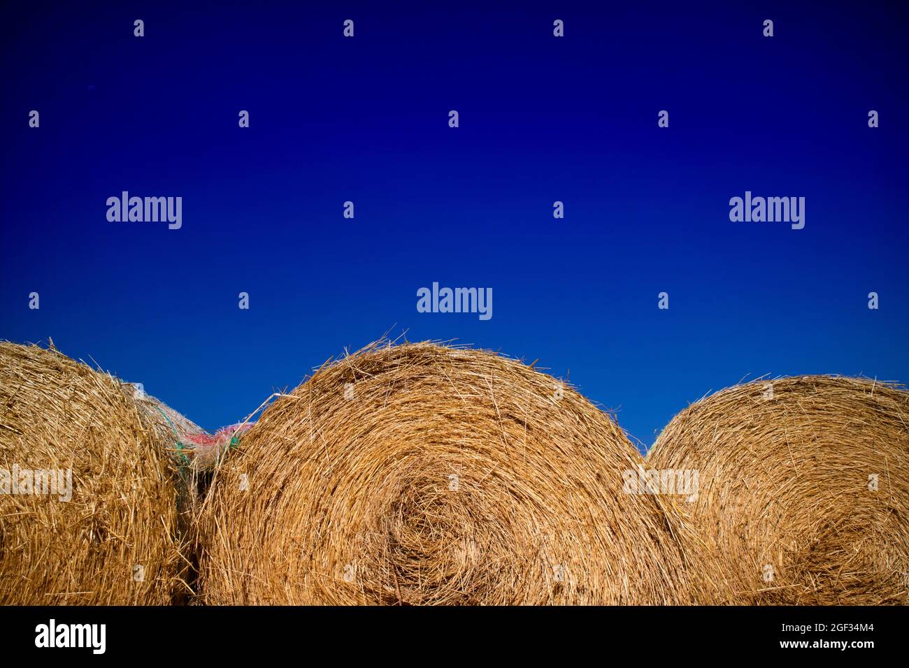 Straw for animals hi-res stock photography and images - Alamy