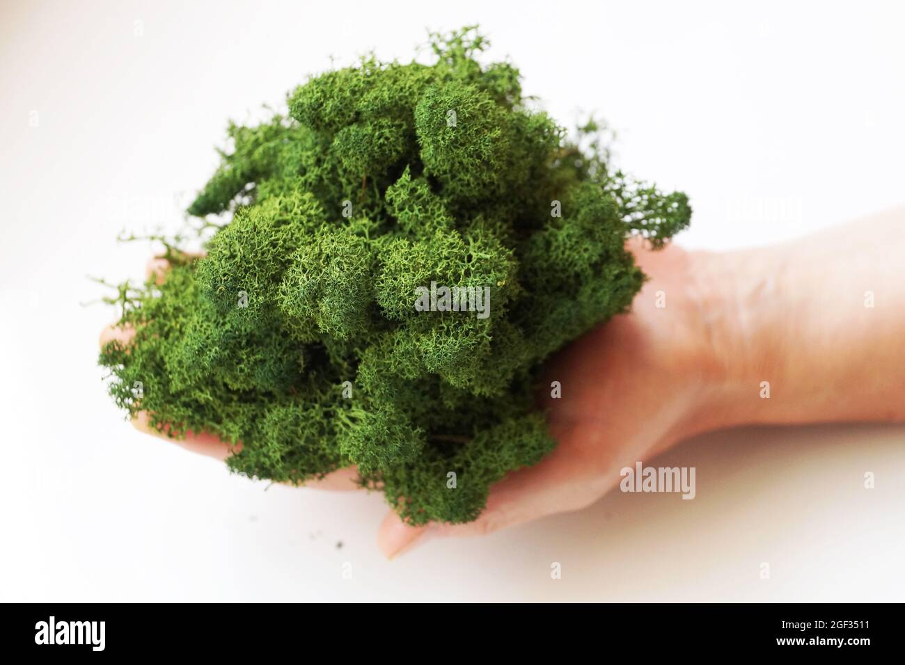 Woman touching wall surface hi-res stock photography and images - Alamy