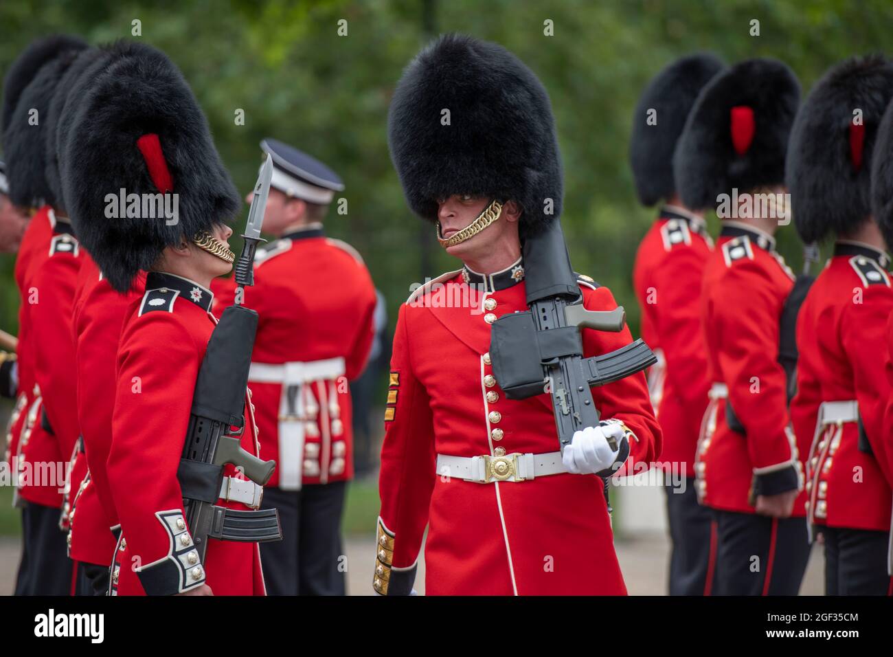 Number 3 company 1st battalion coldstream guards hi-res stock ...
