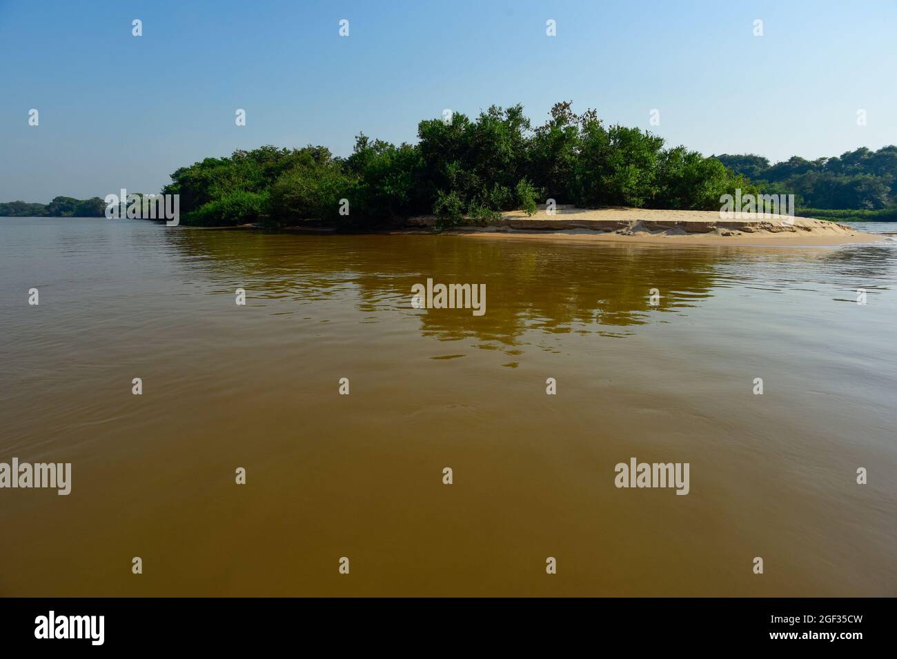 Cuiabá river landscape, Pantanal Forest , Mato grosso, Brazil Stock ...