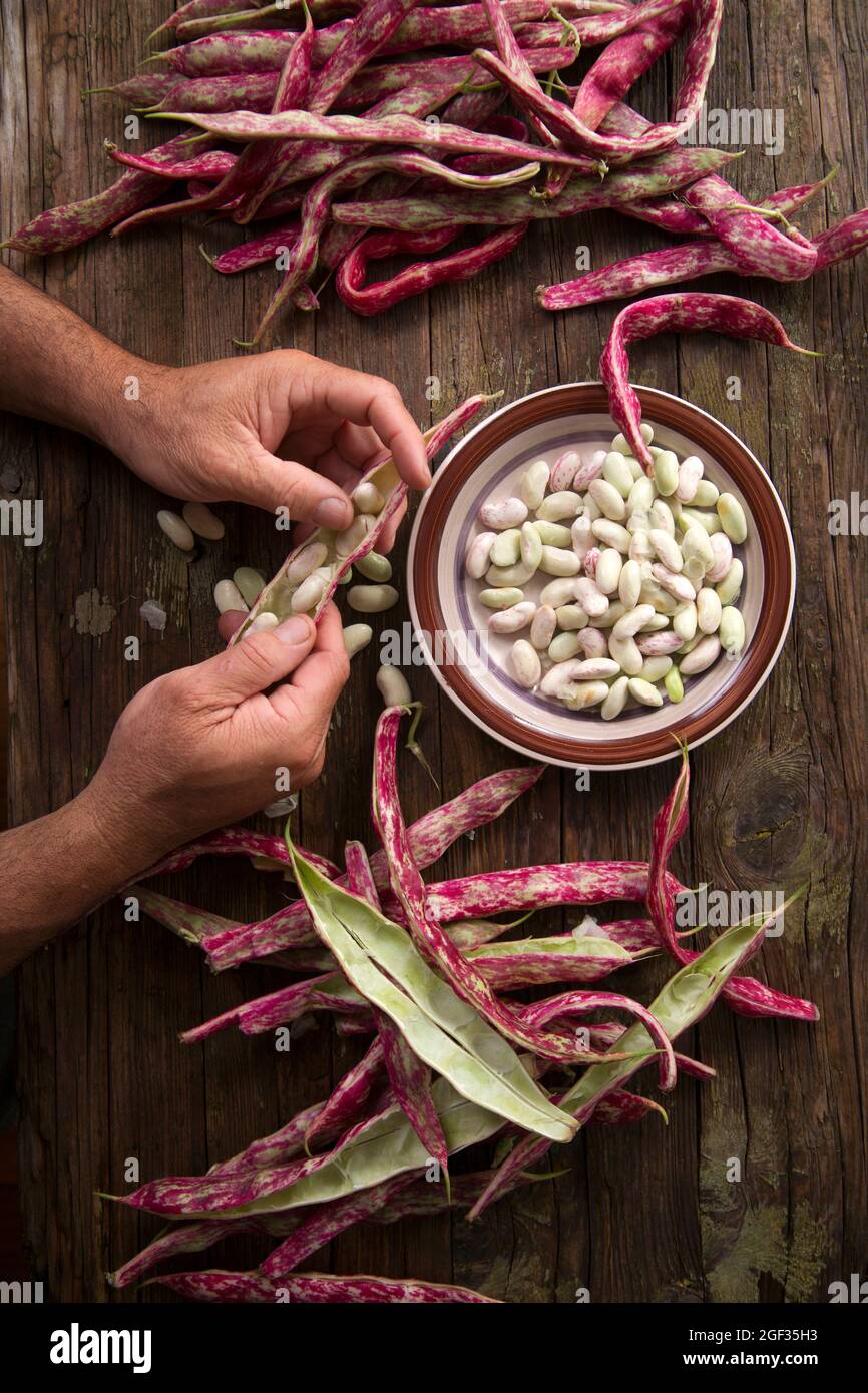 Representation of the time that the hands are busy shelling beans Stock ...