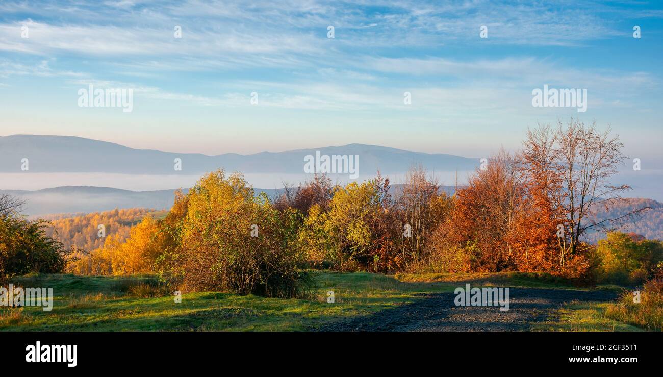 autumnal countryside of carpathian mountains. road in the top of a hill ...