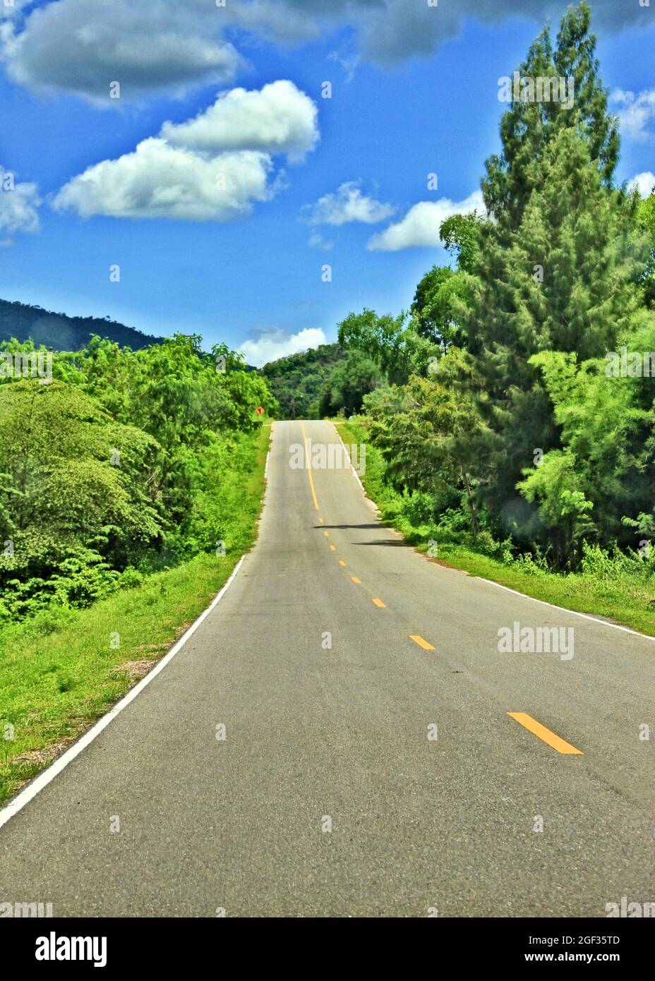 Vegetation free hi-res stock photography and images - Alamy