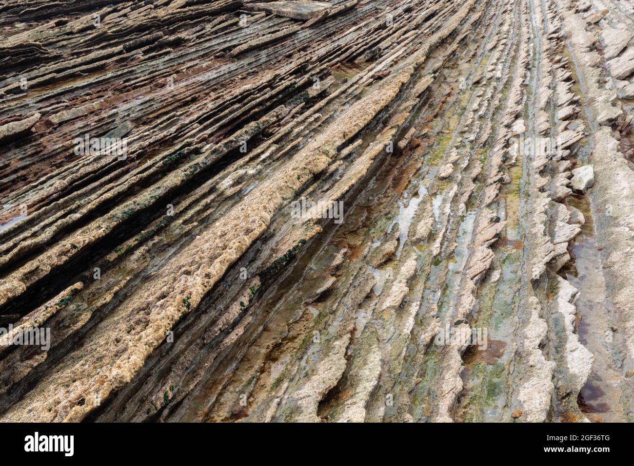 Flysch in basque country coast Stock Photo - Alamy