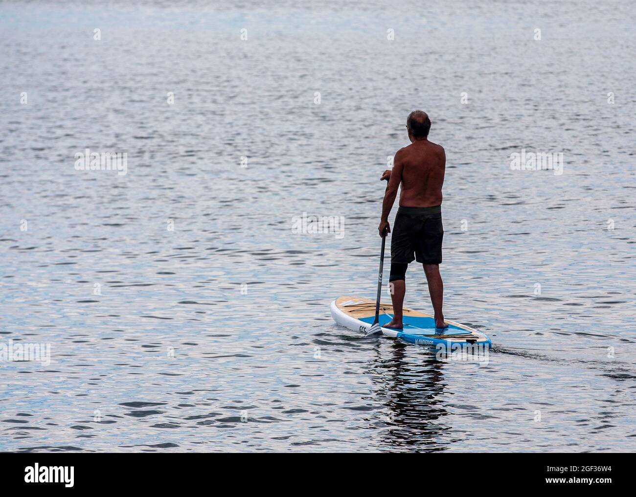 Balance board man hi-res stock photography and images - Alamy