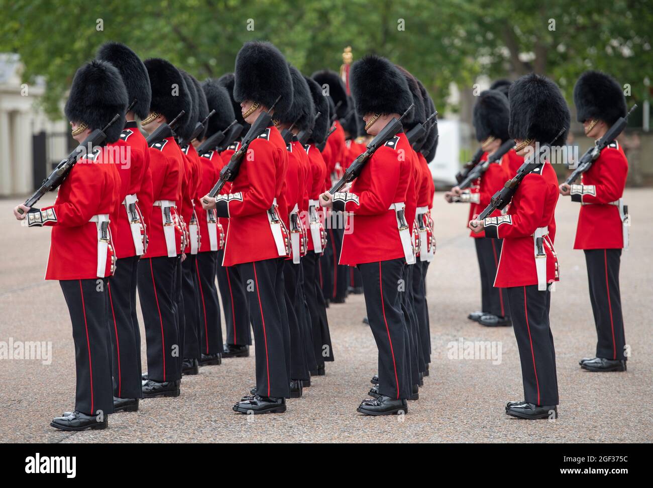 Number 3 company 1st battalion coldstream guards hi-res stock ...