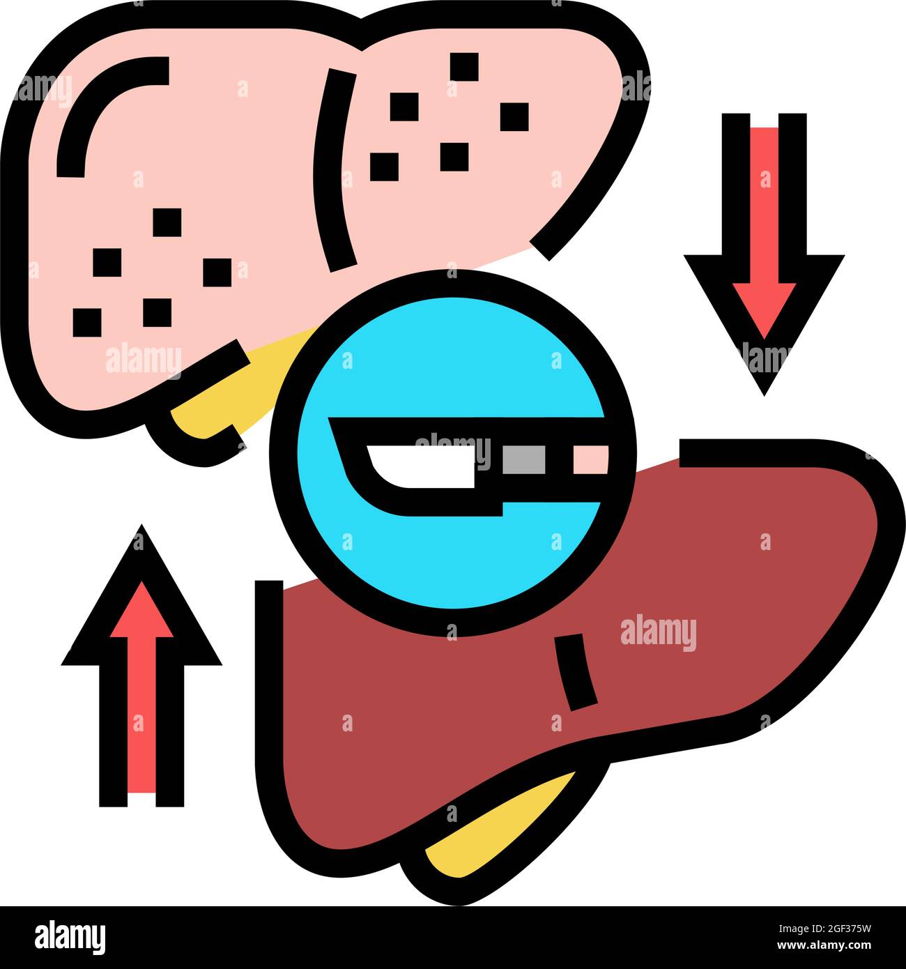 liver transplant color icon vector illustration Stock Vector Image ...
